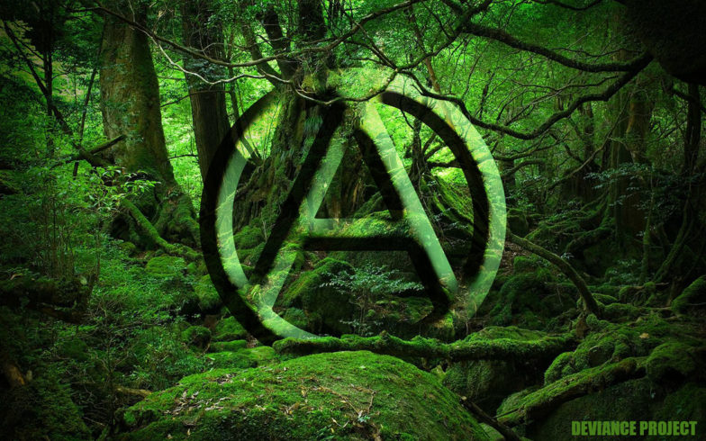 Miti sull’anarco-primitivismo – Mason Massy James